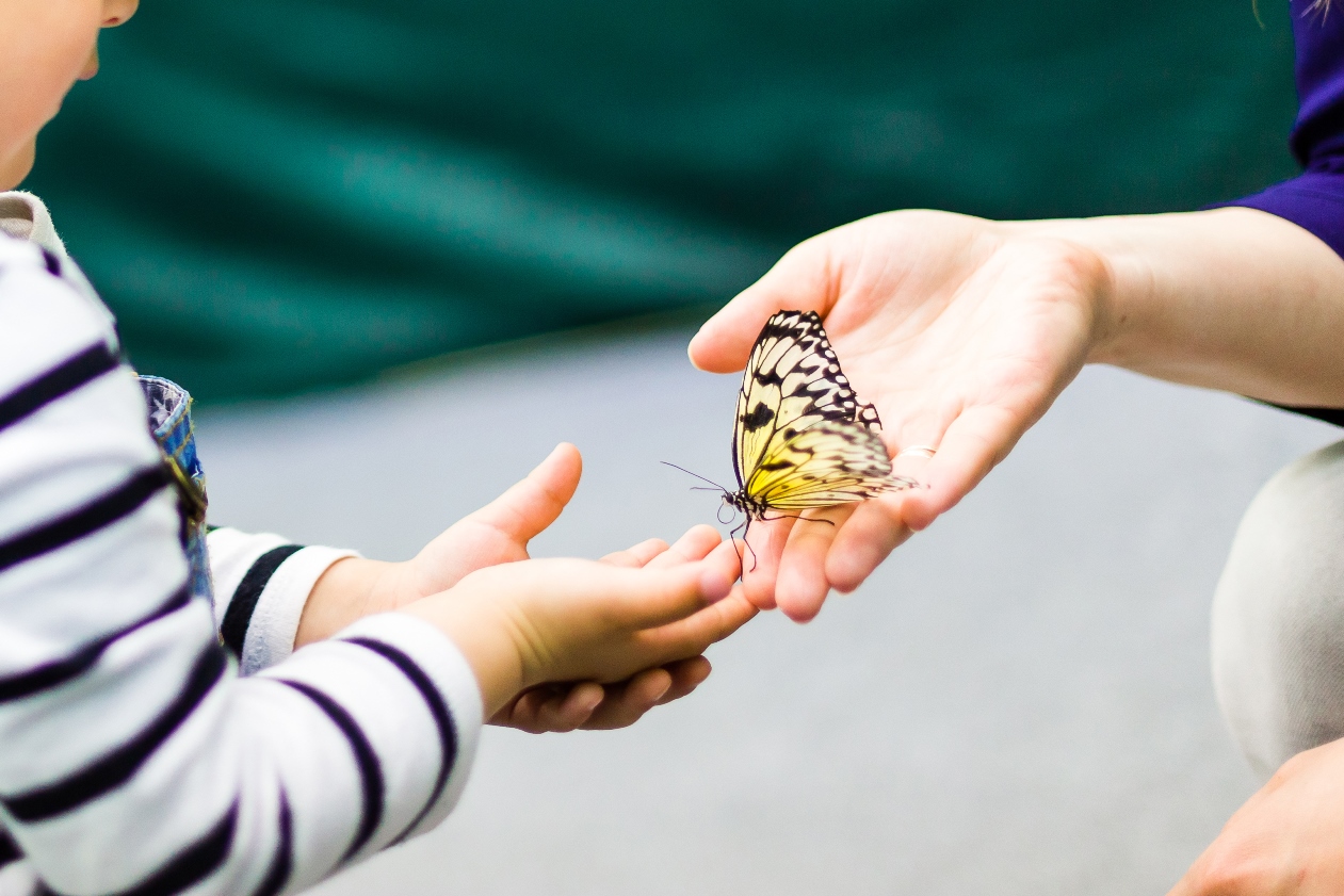 New hope for butterfly children | PR&D – Public Relations Agency for ...